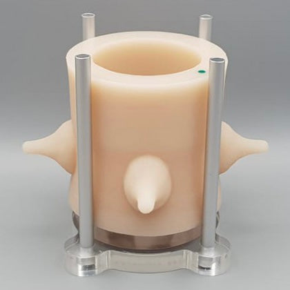 Support stand til Nourrinou Bibi — Chew Chew